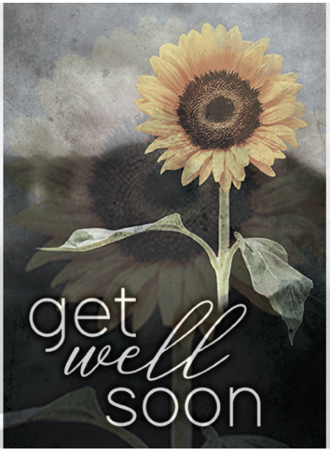 "Get Well Soon" Humorous Greeting Card – Ladybug Boutique and Gift Shop